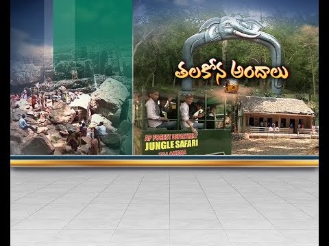 Beauty of Talakona | Eco Tourims at Seshachalam Forest | Fetching Great ...