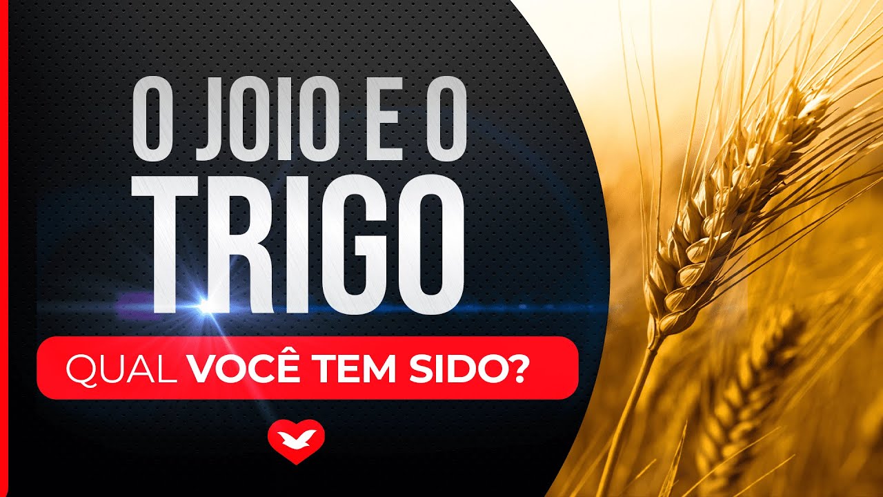 O JOIO E O TRIGO - Qual você tem sido? - YouTube