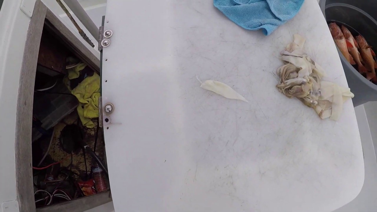 Fishing With Squid Strips 101 - How To Catch More Fish - YouTube
