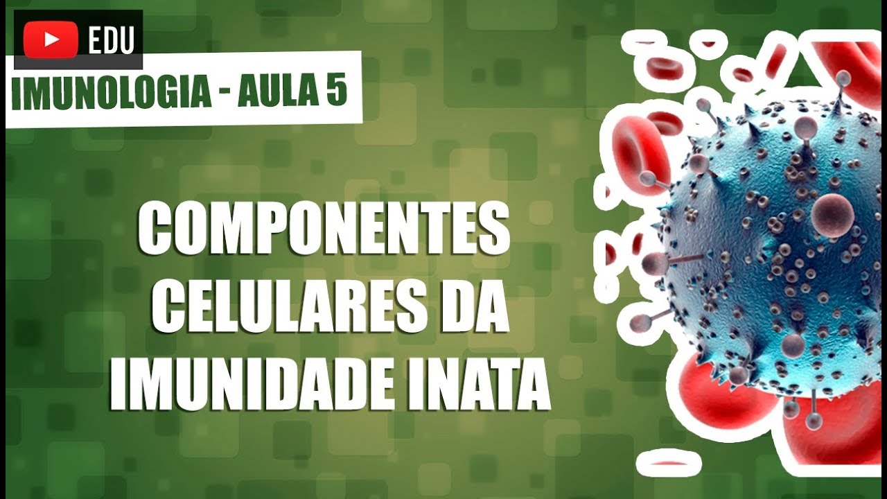 Componentes da Imunidade Inata - Imunologia - Aula05 - YouTube