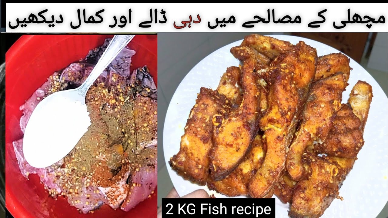 Best Fish Fry Recipe | Fish Recipe Pakistani | Fish Recipe By KNA - YouTube