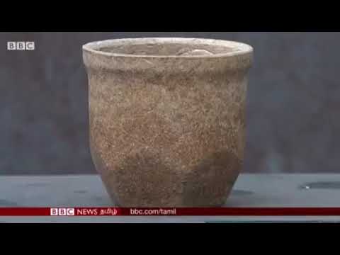 RICE BRAN TEA CUPS MAKING MACHINE - YouTube