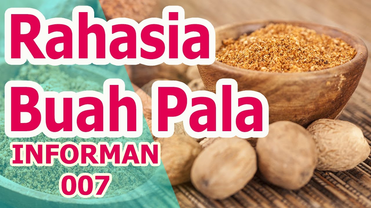 manfaat buah pala bagi kesehatan yang Sangat Luar Biasa !!! - YouTube