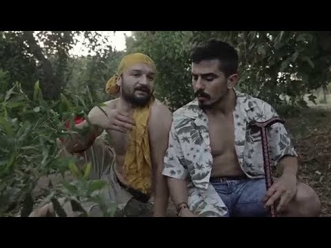Efsane Aykut Elmas Halil İbrahim Göker Vineleri (2017 Aralık)