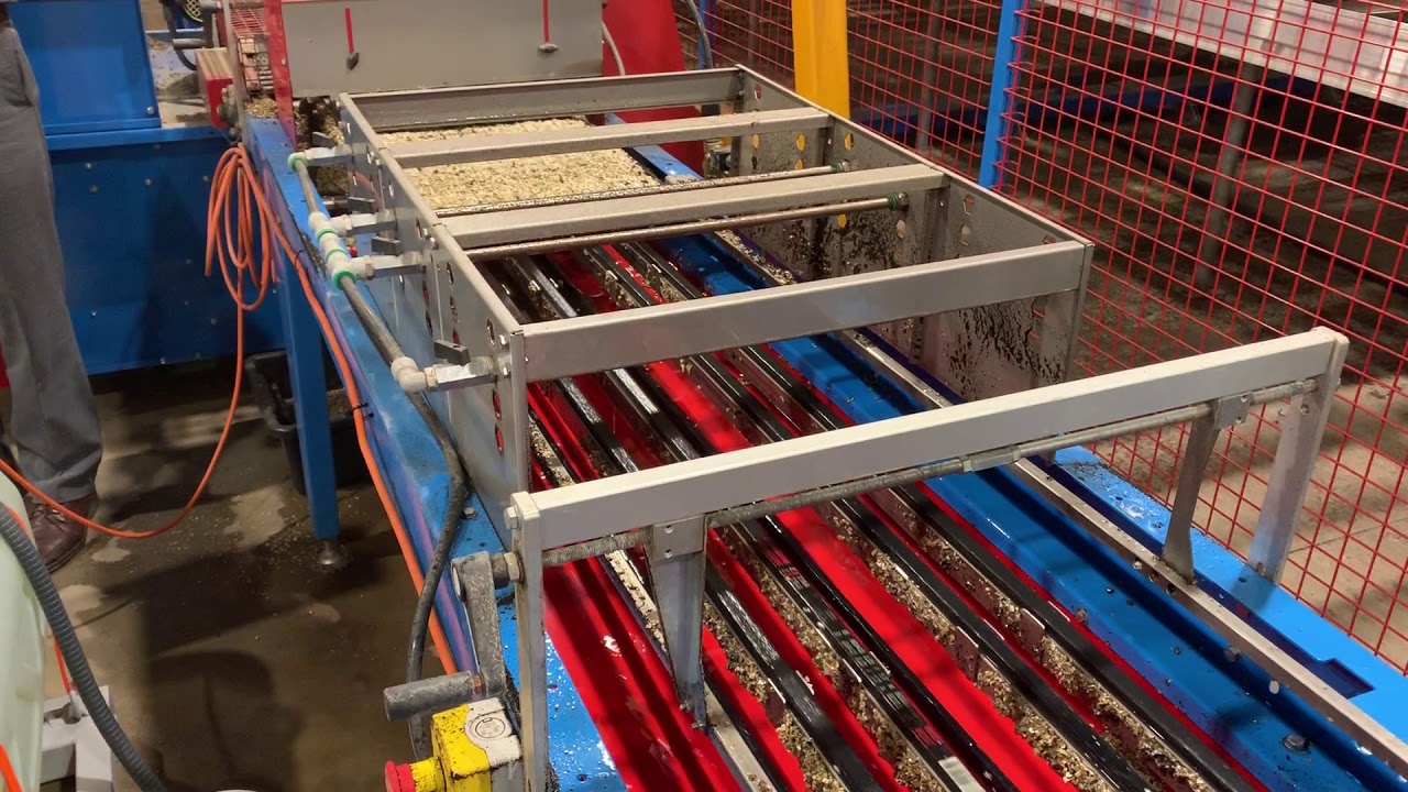 Fully automated at Boomaroo Nurseries - YouTube