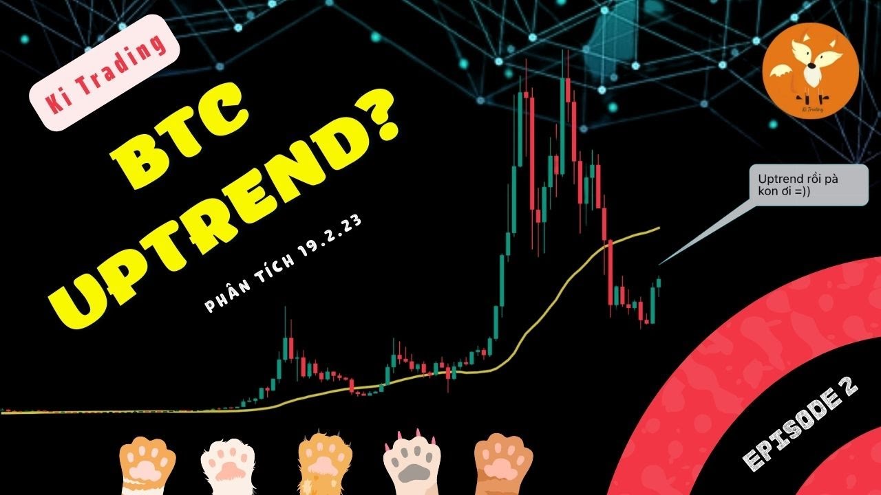 BTC uptrend??? - Phân tích 19.2.2023 - Ep2 - Ki Trading - YouTube