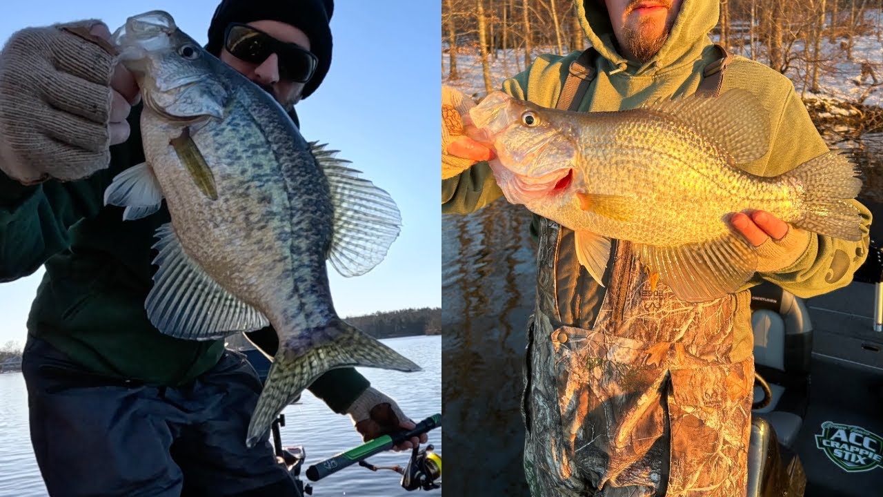 How to Catch HUGE Crappie after a cold front. - YouTube