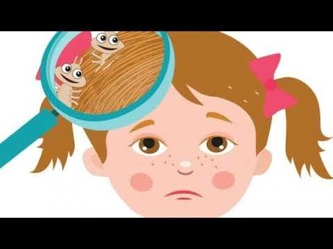 Animales perjudiciales para niños - YouTube