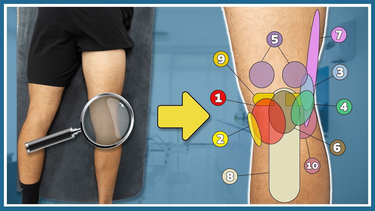 Pain in the back of your knee explained - 10 most common causes and ...