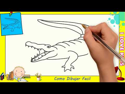 Dibujos de cocodrilos FACILES paso a paso para niños - Como dibujar un cocodrilo 3