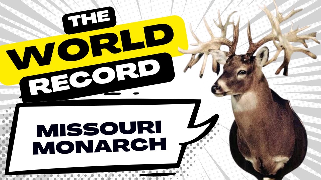 The Worlds Biggest Buck. The Missouri Monarch - YouTube
