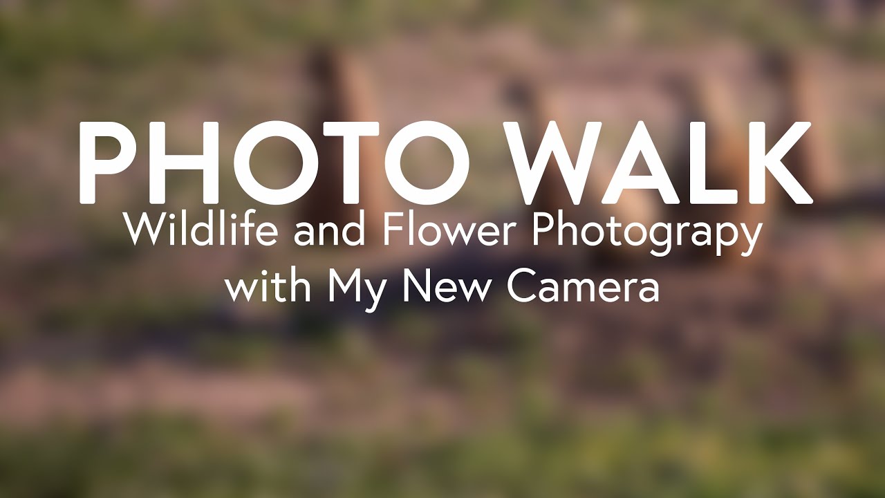 Photo Walk | Wildlife and Flower Photography with My New Camera - YouTube