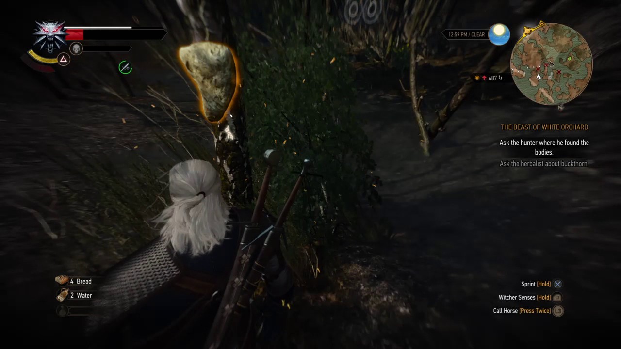 Easily the Worst Death in The Witcher 3 - YouTube
