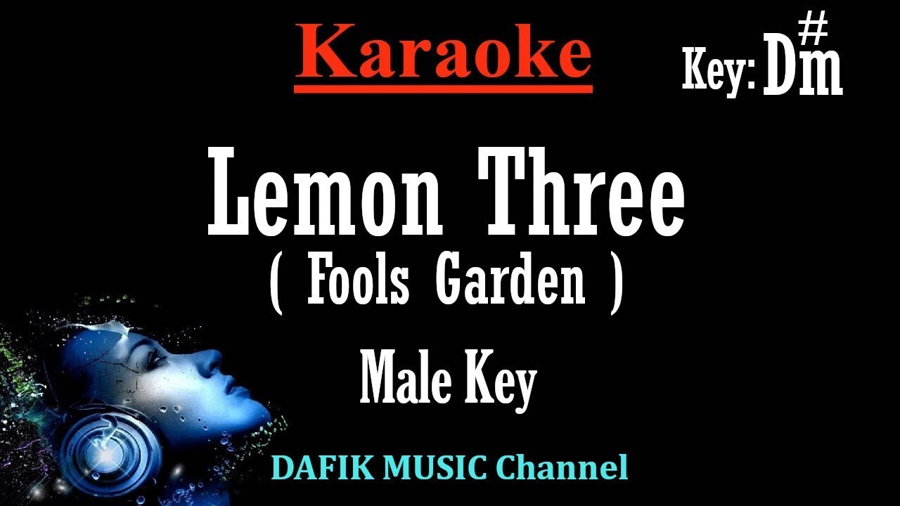 Lemon Three (Karaoke) Fools Garden Male key D#m - YouTube