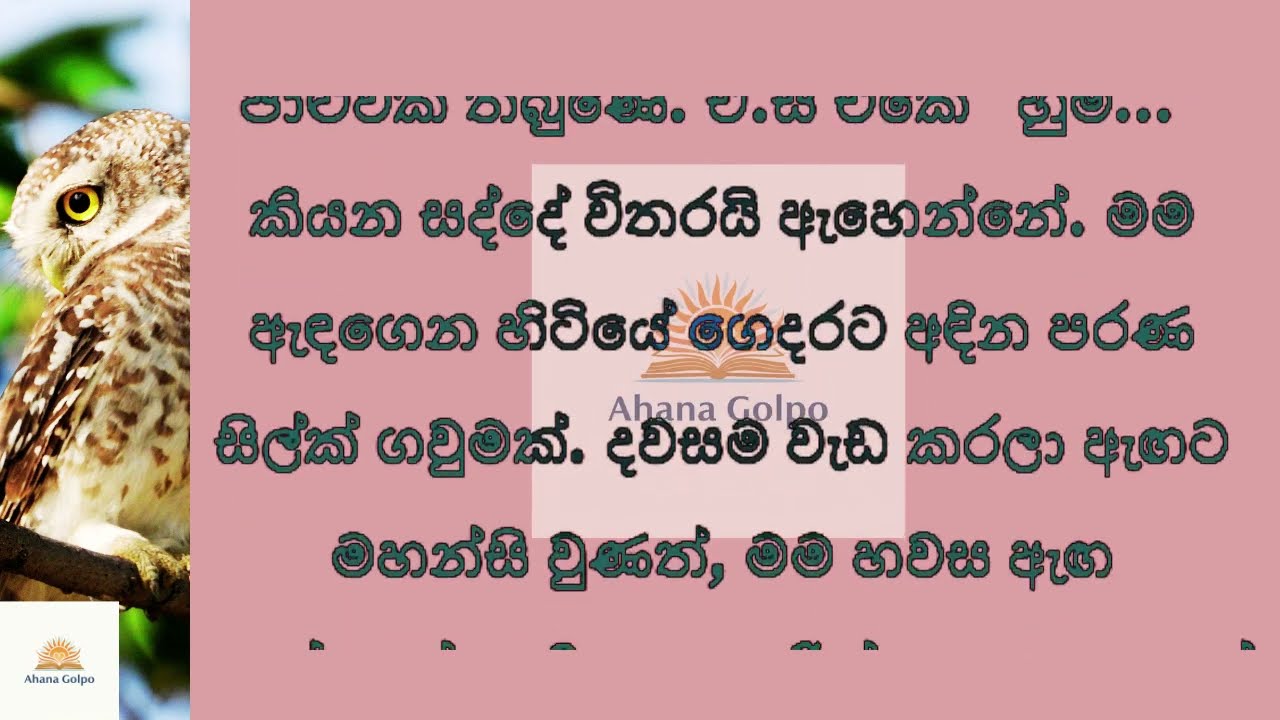මාමණ්ඩියි මහත්තයයි මට දෙපැත්තෙන් සැලකුවා | sinhala keti katha | new ...