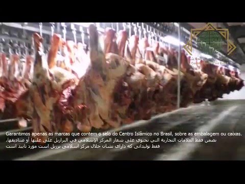 Supervisão de Abate e Produção Halal - Marfrig / Bataguassu - MS ...