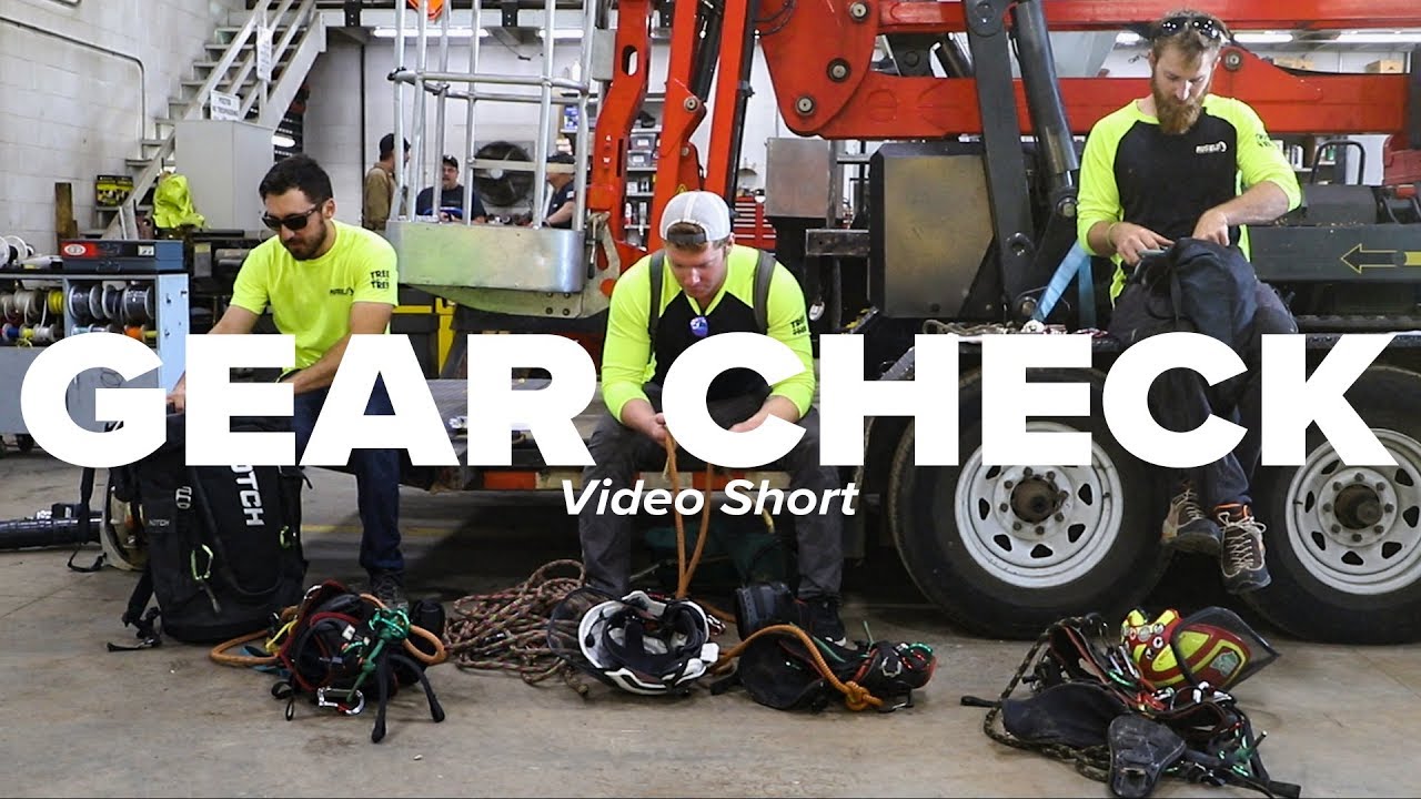 Gear Check Short - YouTube
