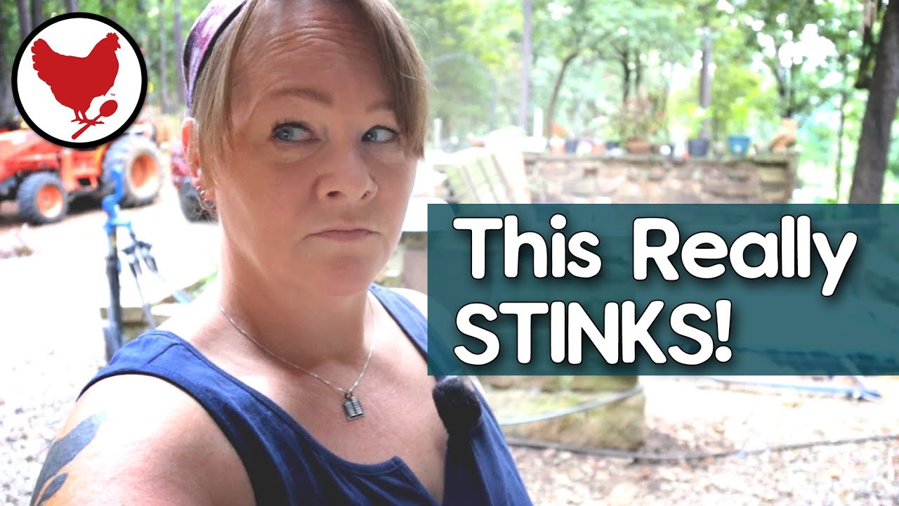 This STINKS | And a Silver Lining - YouTube