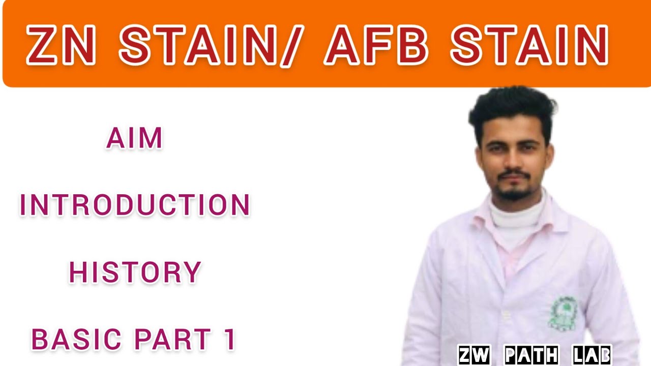 ZN stain lectures 1 - YouTube