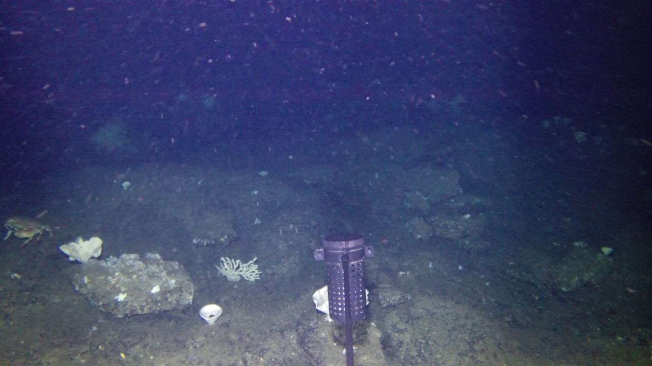 Deep drop gopro Hidlegrunnen 100m 18 02 2017 - YouTube
