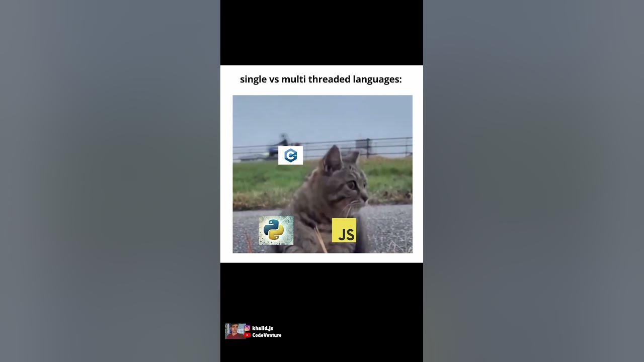 Looking The Wrong Way Coding Programming Javascript Python Youtube