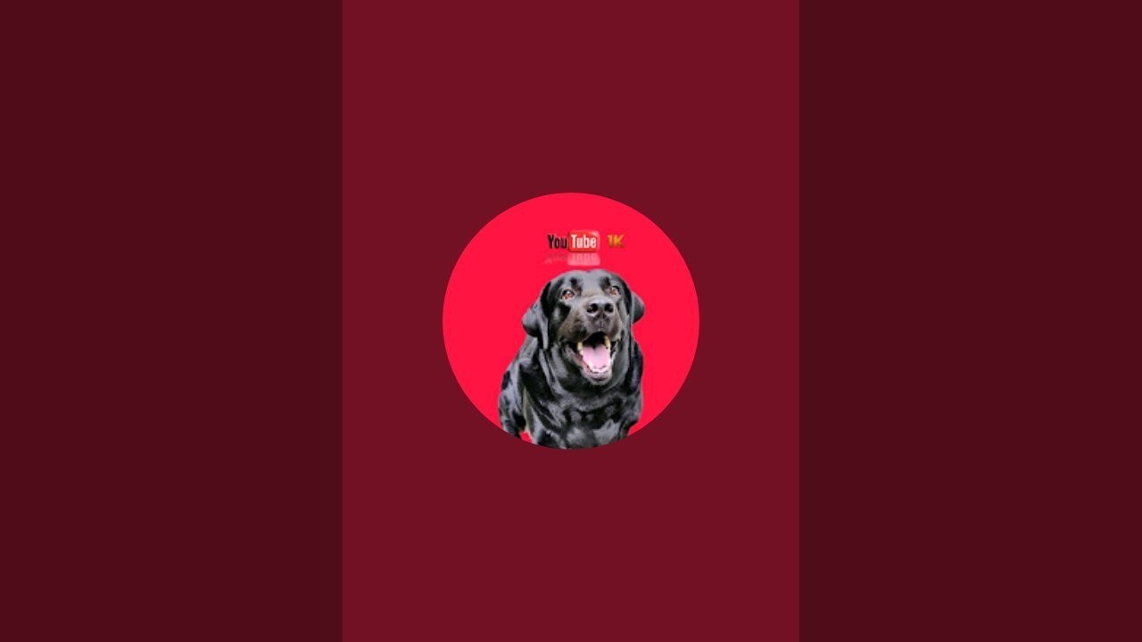 jimmy and me is live - YouTube