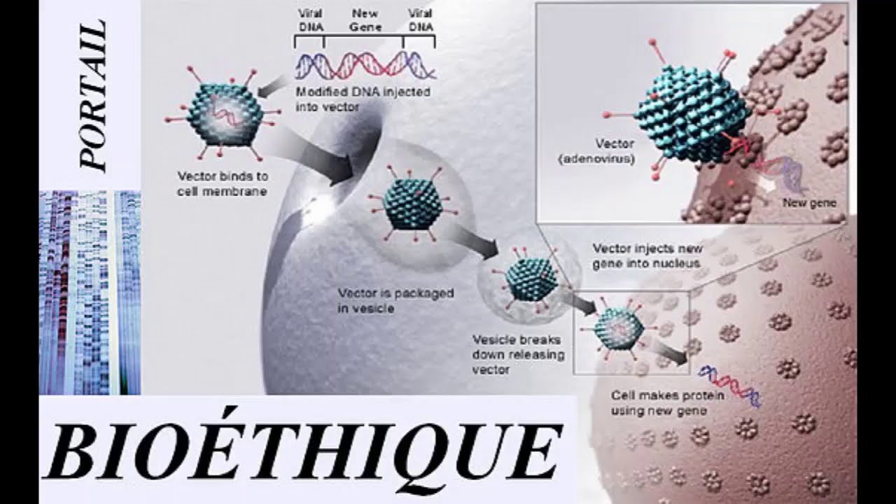 Bioéthique: définition, clauses et évolution - YouTube