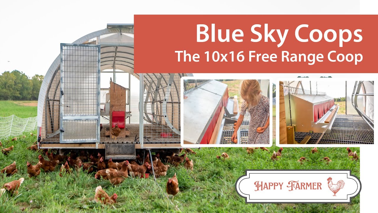 A 10x16 Blue Sky Free Range Chicken Coop from Happy Farmer - YouTube