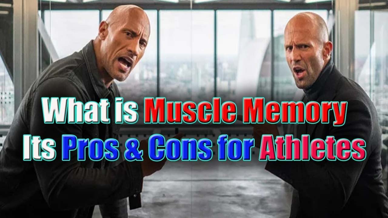 What is Muscle Memory Its Benefits for Athletes | Easy Health Tips | D ...