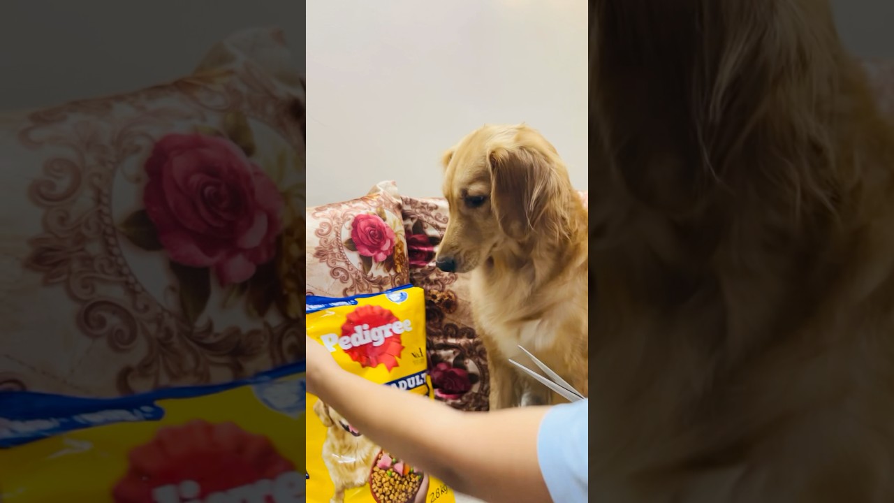 Candy ka food agyaaaa #youtubeshorts #youtube #ytshorts #shorts - YouTube