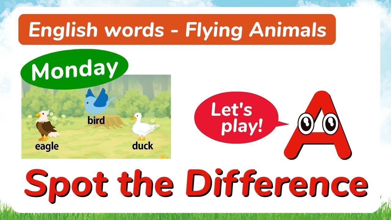 English Words | Flying Animals [Spot the difference 3] - YouTube