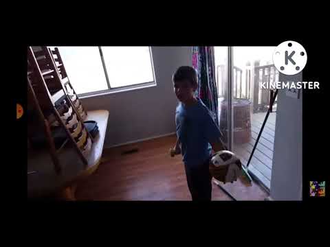 Kid Smash Breaks Windows Wrong Prank Oh shiitake mushrooms