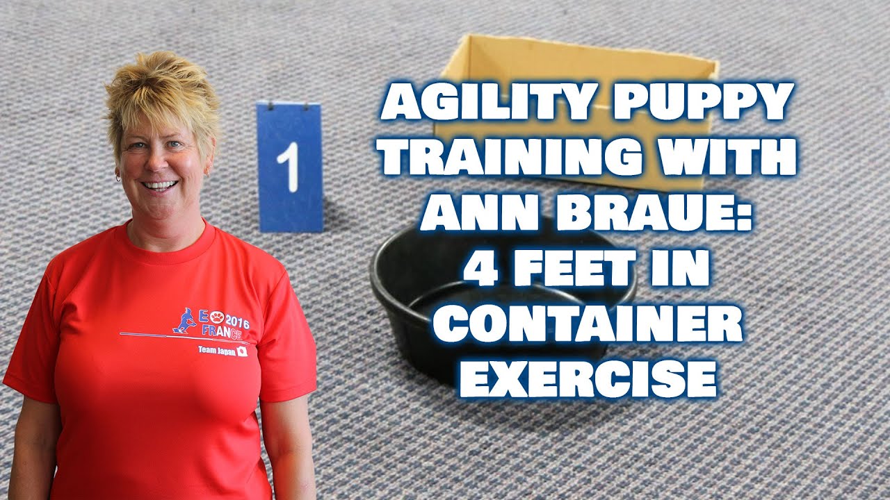 Agility Puppy Training with Ann Braue: 4 Feet in Container Exercise - YouTube