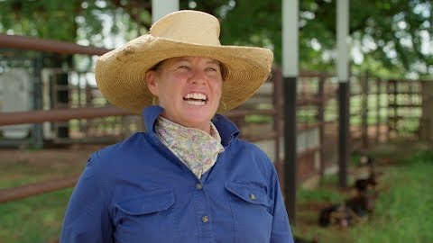 Muster Dogs (1), 3 - YouTube