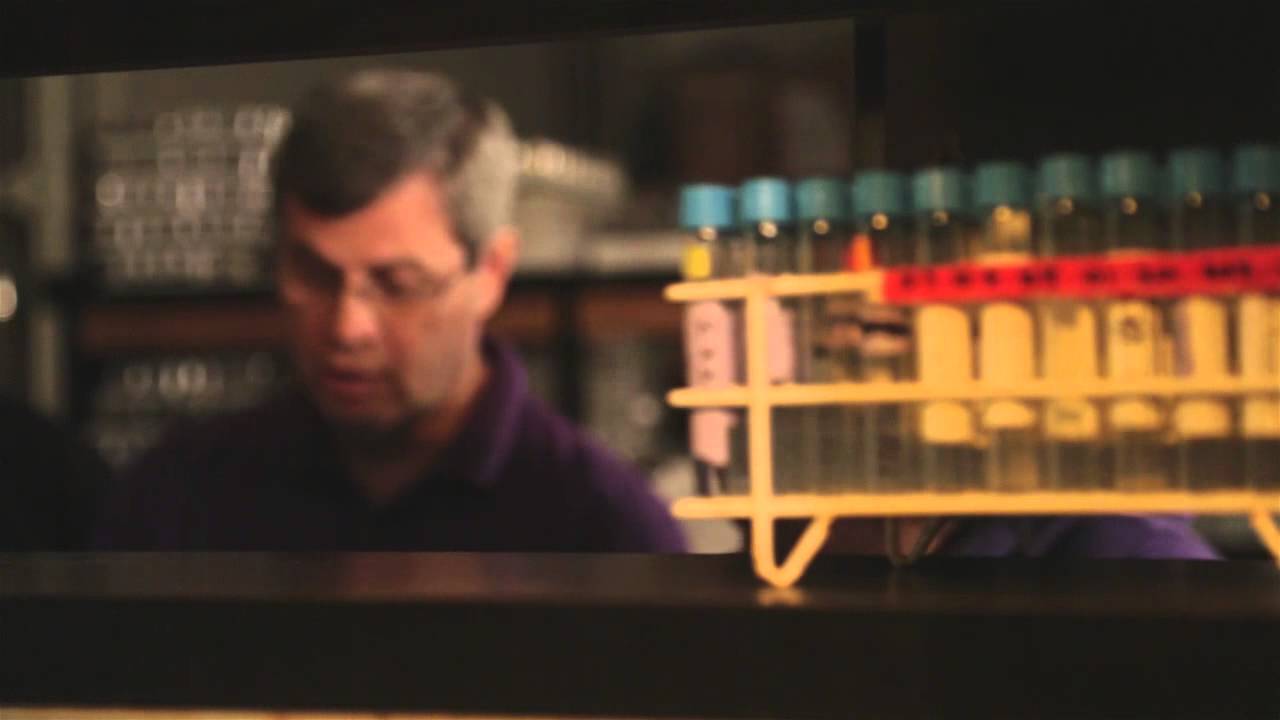 Chuck Rice | The Wildcat Way - YouTube