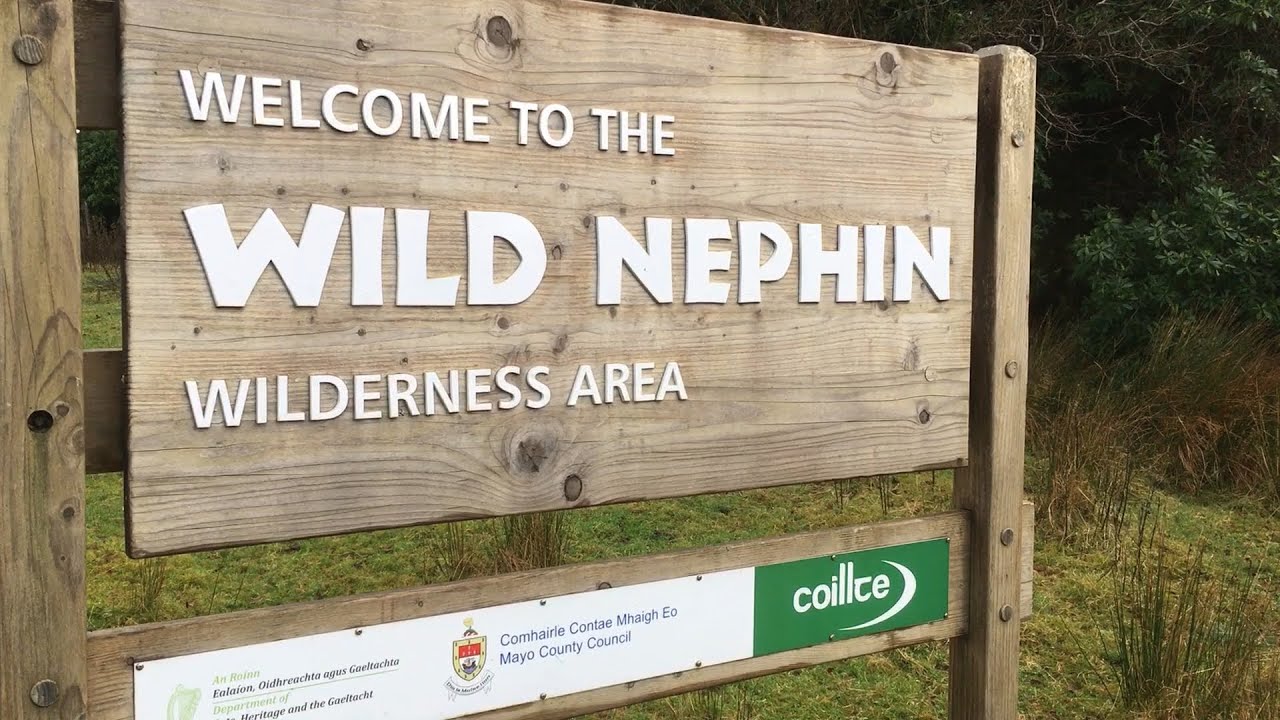 What now for Wild Nephin? - YouTube