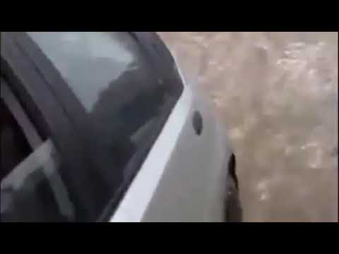 prikol sami smeshnoy