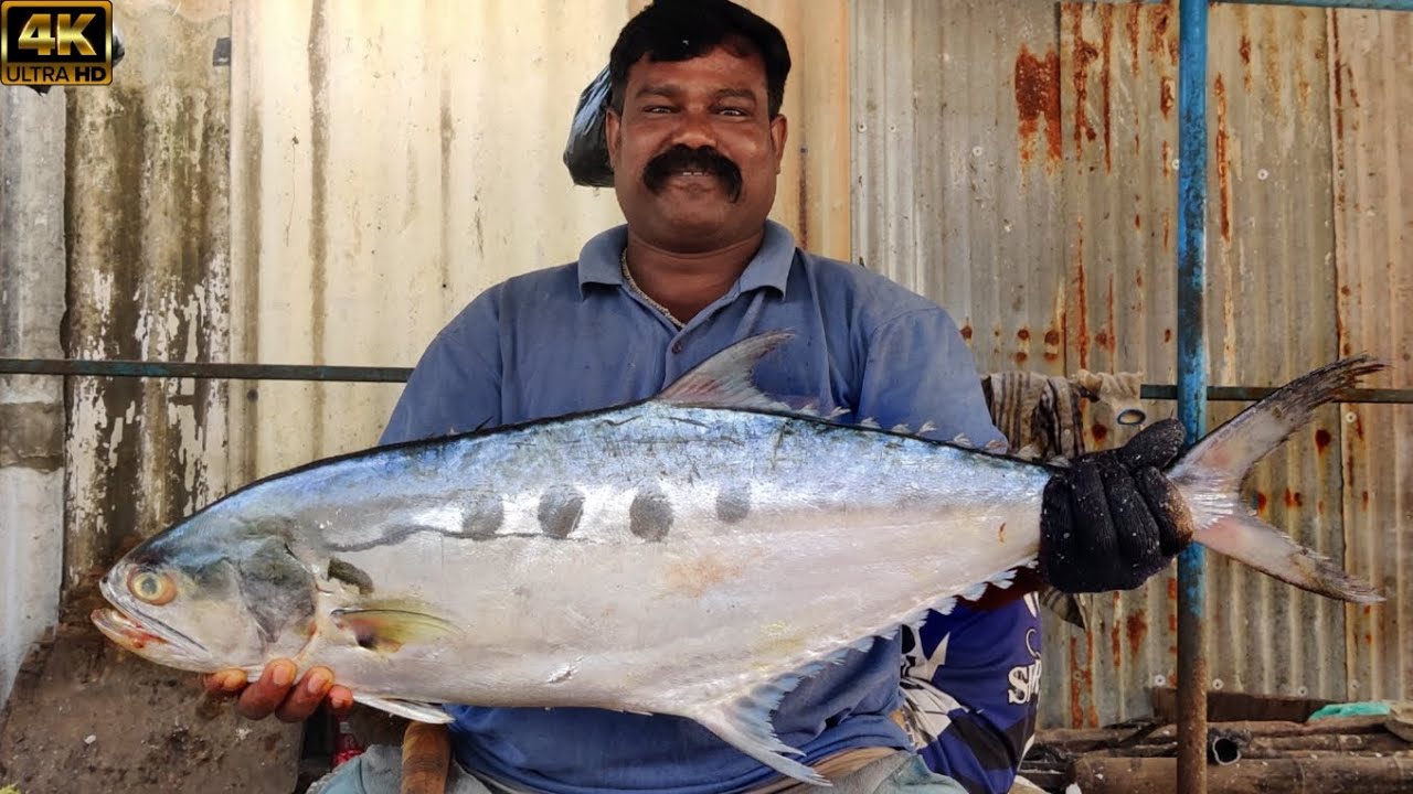 KASIMEDU 🔥 CHEETAH DURAI | BIG SIZE QUEEN TREVALLY FISH CUTTING VIDEO ...