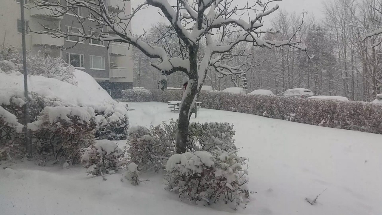 Snow storm - YouTube