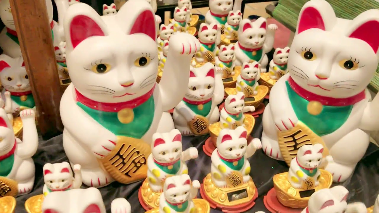 Beckoning cats - YouTube