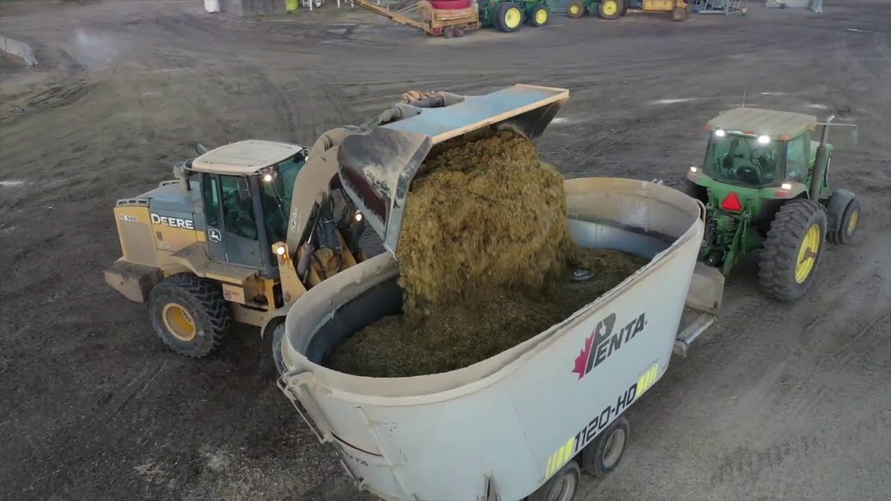 Mixing Feed for the Dairy Cows - YouTube