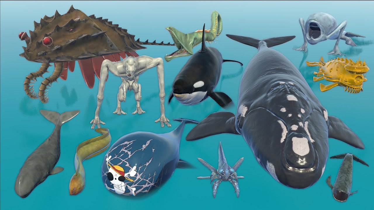 Laboon & Aircraft Whales Vs Legendary Sea Monster Size Comparison 3D ...