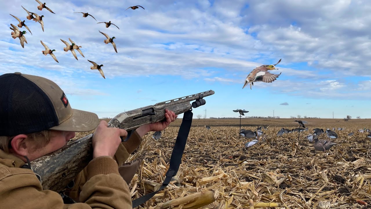 Duck Hunting A LOADED Corn Field | Mega Feed MIXED BAG - YouTube
