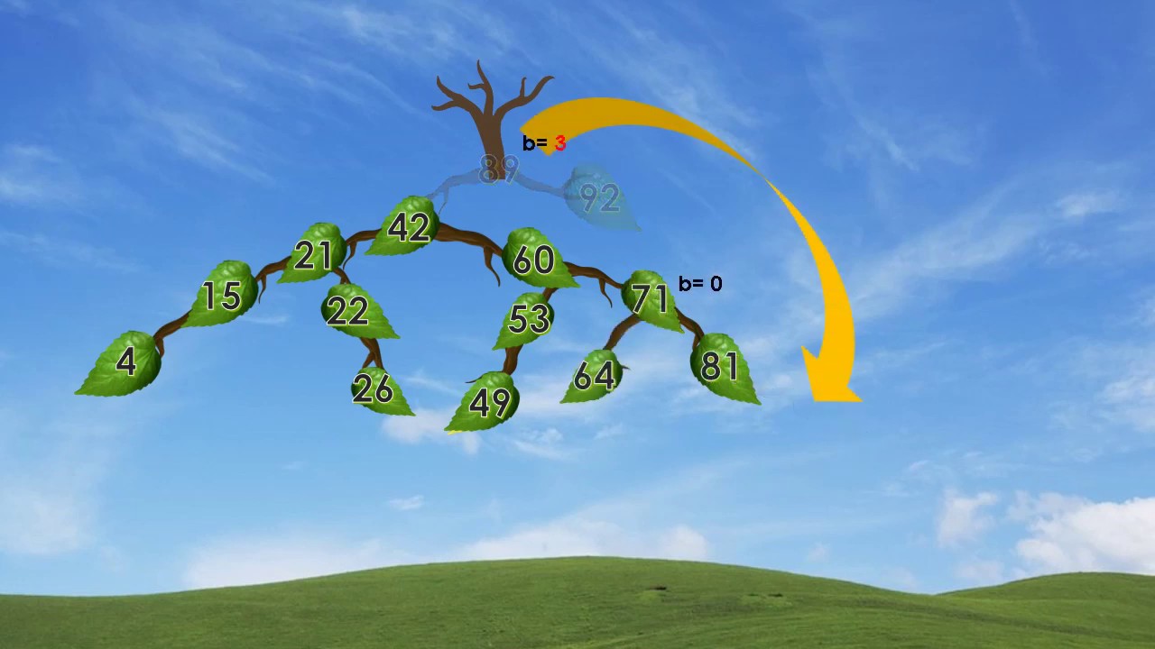 Balanceo de un árbol AVL | Estructura de Datos - YouTube