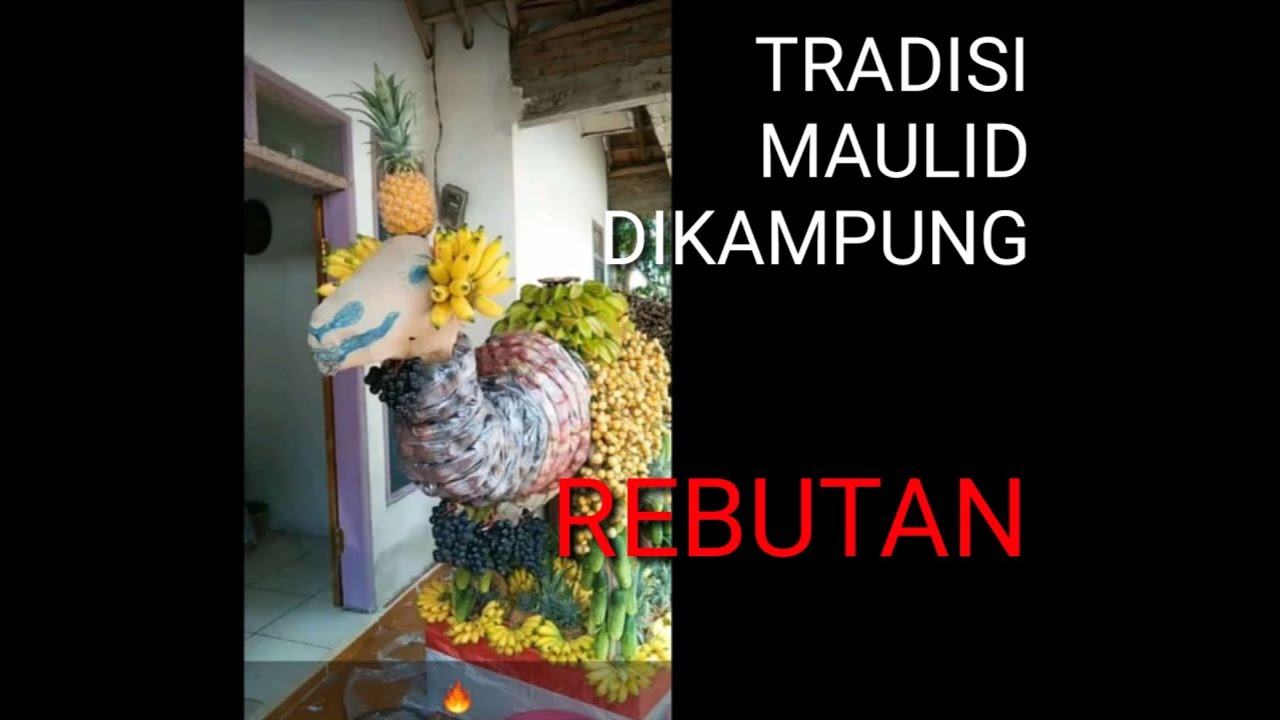 TRADISI MAULID DI KAMPUNG, REBUTAN!!! - YouTube