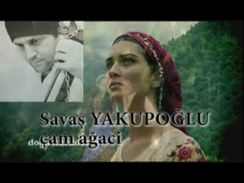 Savaş YAKUPOĞLU -cam ağaci-