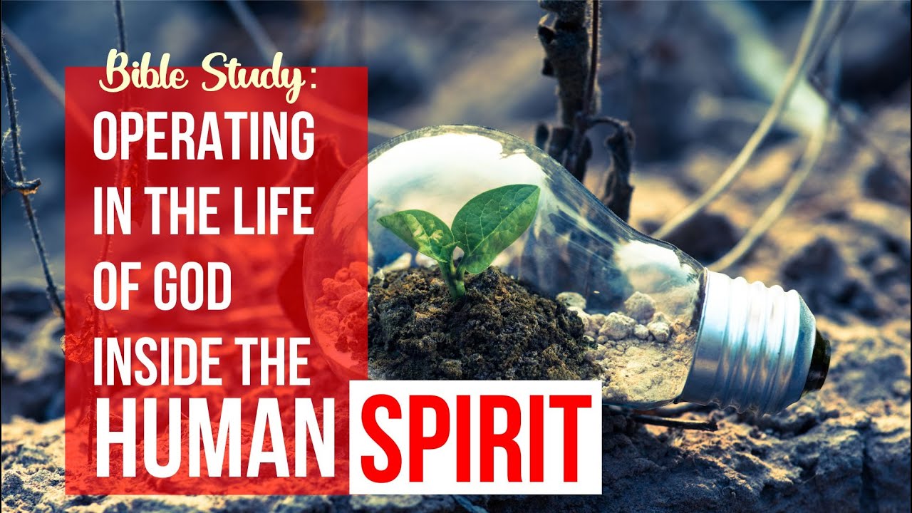 Operating In the Life of God Inside Human Spirit - #2 | BIBLE STUDY ...