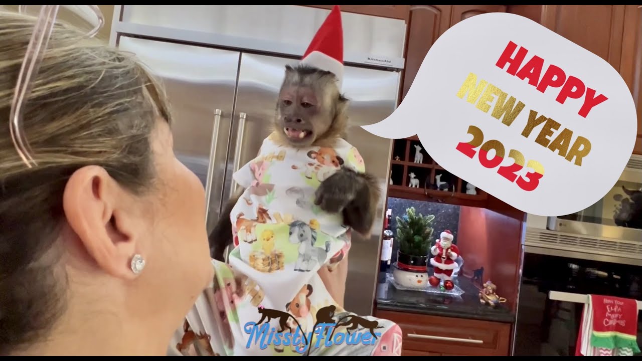 Monkey Russel and his toothless teeffffers wishing you a Happy New Year ...