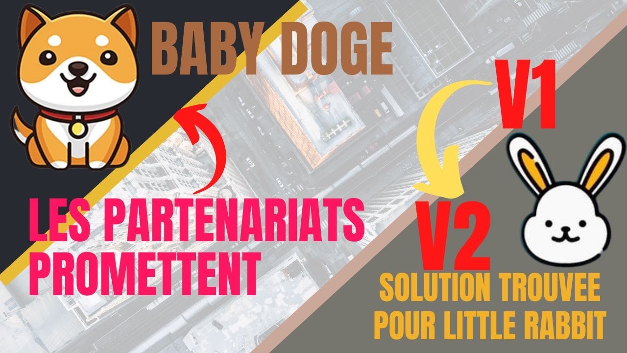 🔥💥Baby doge coin nous prépare des booms | Little Rabbit prépare la ...