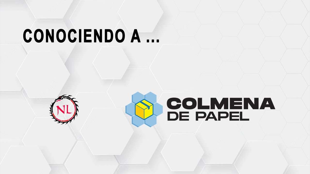 Conocemos a: ¡Colmena de Papel! - YouTube